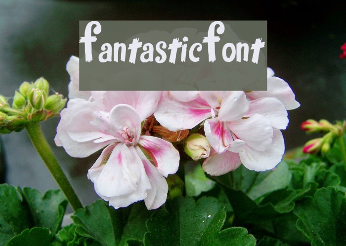 FantasticFont Font - FFonts.net