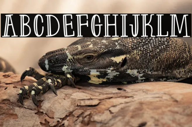 Farm to Market Fancy Font - Free Download (TTF/OTF) | FFonts