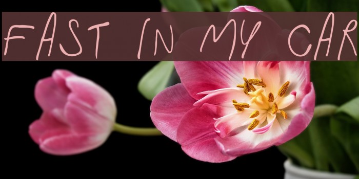 Fast In My Car Font - FFonts.net