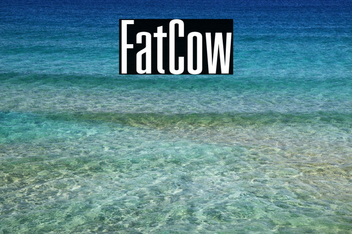 FatCow Font - FFonts.net