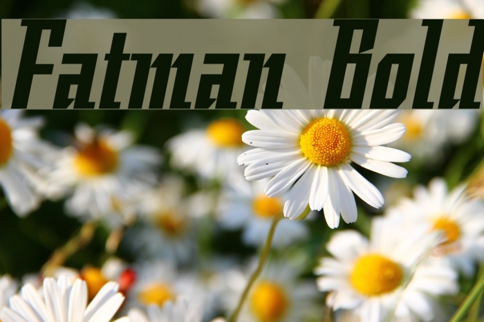Fatman Bold Font - FFonts.net