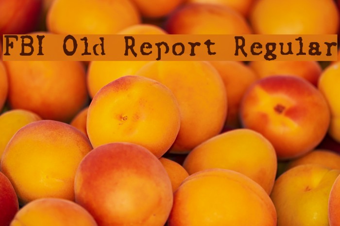 FBI Old Report Regular Font - FFonts.net