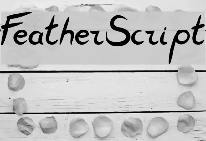 FeatherScript Font | Free Download (TTF/OTF) | FFonts.net