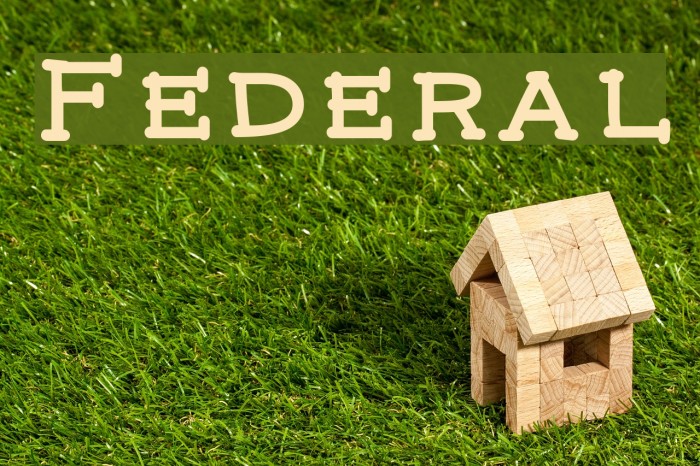 Federal Font - FFonts.net