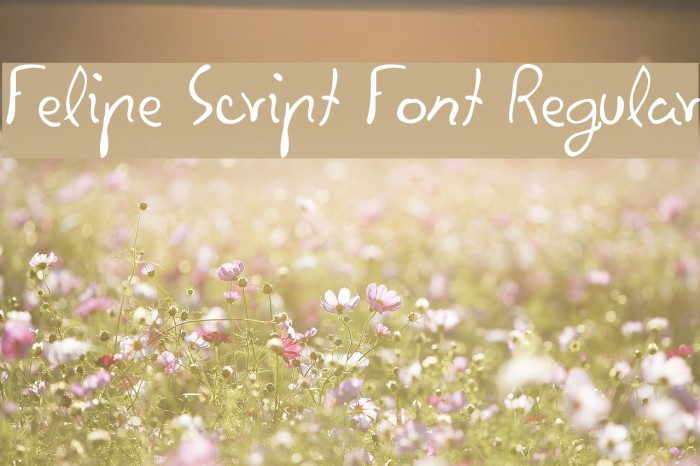 Felipe Script Font Regular Font - FFonts.net