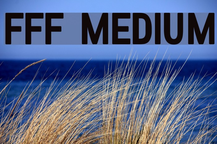 FFF Medium Font - FFonts.net