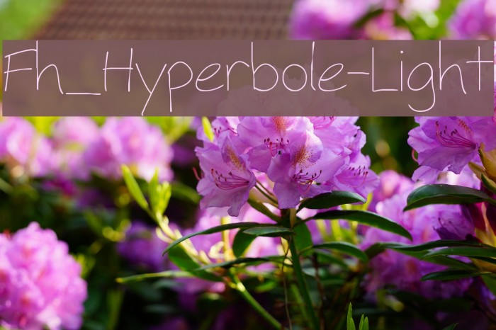Fh_Hyperbole-Light Font - FFonts.net