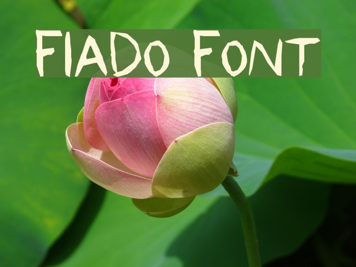 Fiado Font - FFonts.net