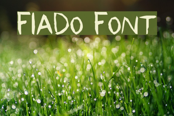 Fiado Font - FFonts.net