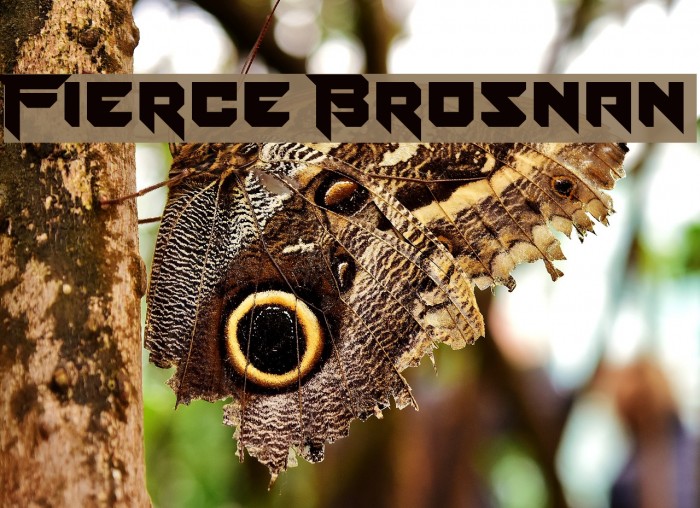 Fierce Brosnan Font - FFonts.net