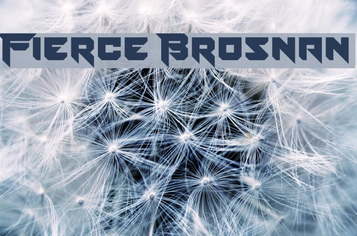 Fierce Brosnan Font - FFonts.net