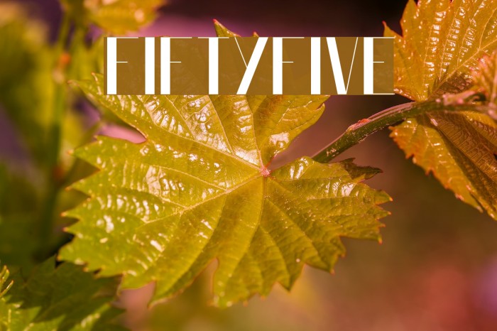 FiftyFive Font - FFonts.net