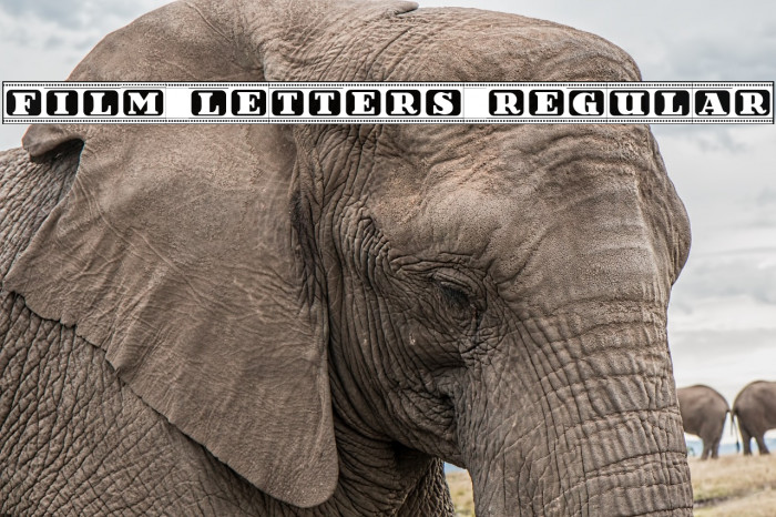 Film Letters Regular Font - FFonts.net