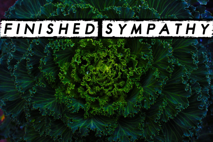 Finished Sympathy Font - FFonts.net