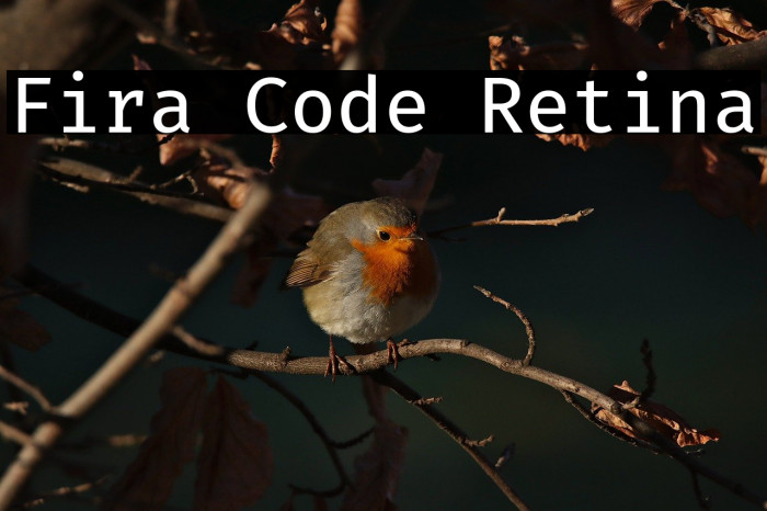 Fira Code Retina Font - FFonts.net