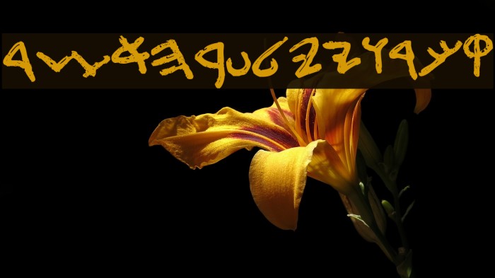 First Temple Font - FFonts.net