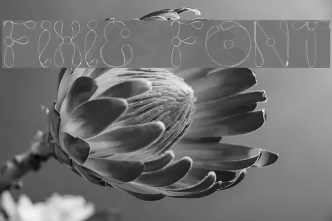 Fixie Font | Details & Characters — FFonts.net