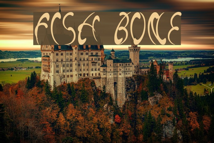 fish bone Font - FFonts.net