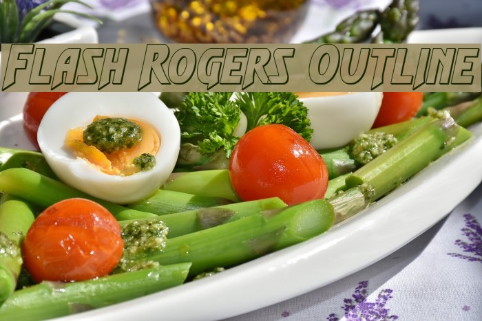 Flash Rogers Outline Font - FFonts.net