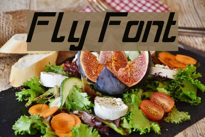 Fly Font - FFonts.net
