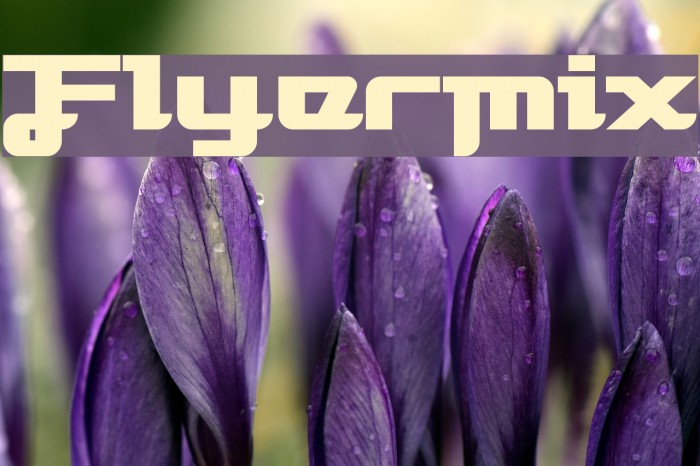 Flyermix Font - FFonts.net