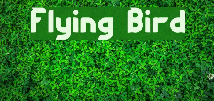 Flying Bird Font - FFonts.net