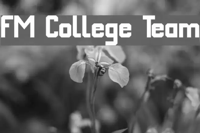 FM College Team Font | Free Download (TTF/OTF) | FFonts.net
