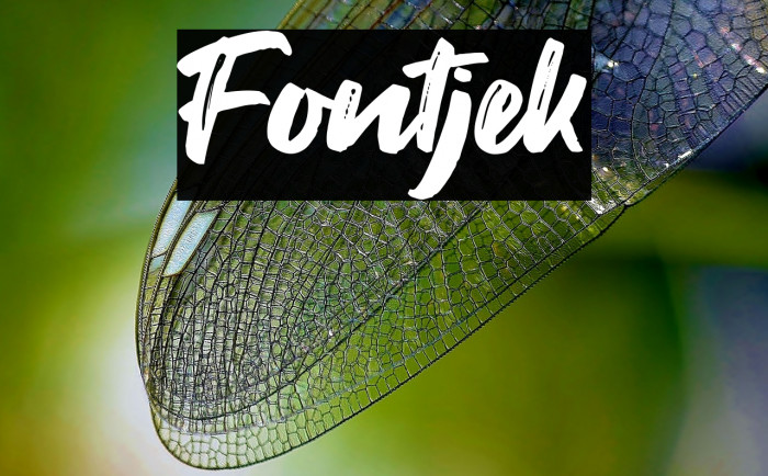Fontjek Font - FFonts.net