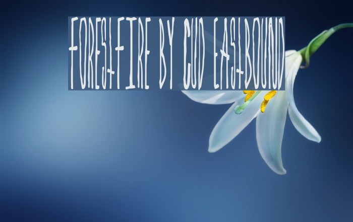 ForestFire by Cud Eastbound Font - FFonts.net