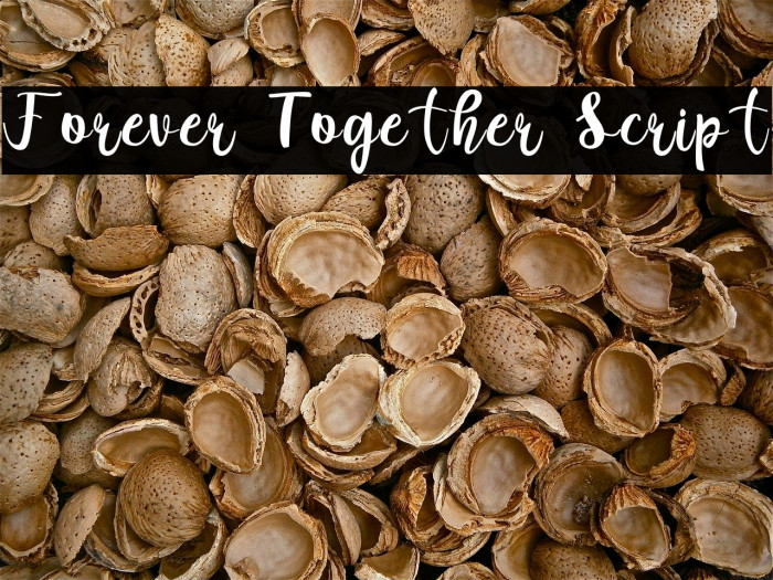 Forever Together Script Font - FFonts.net