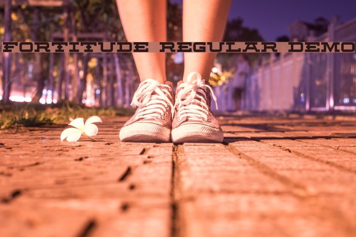 Fortitude Regular Demo Font - FFonts.net