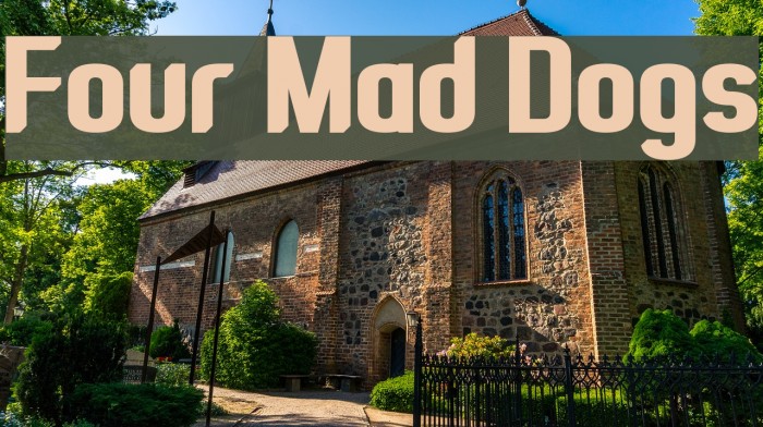 Four Mad Dogs Font - FFonts.net