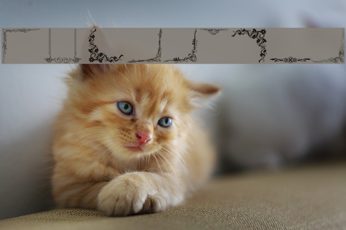 FramesAnd Font - FFonts.net