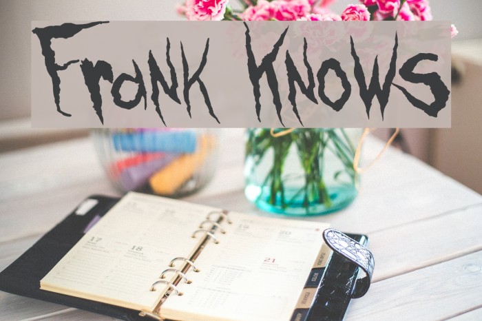 Frank Knows Font - FFonts.net