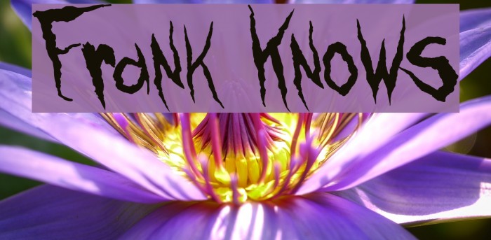 Frank Knows Font - FFonts.net