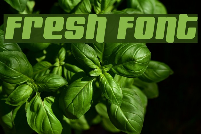 Fresh Font - FFonts.net