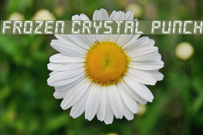 Frozen Crystal Punch Font - FFonts.net