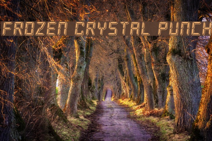 Frozen Crystal Punch Font - FFonts.net
