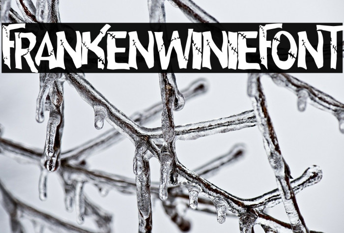frankenwiniefont Font - FFonts.net