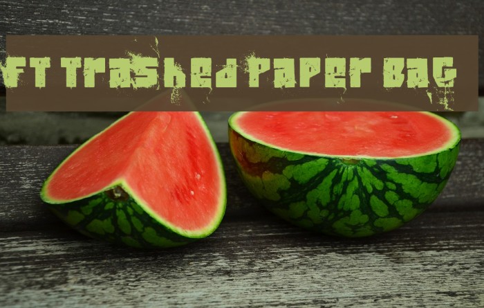 FT Trashed Paper Bag Font - FFonts.net