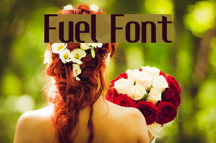 Fuel Font - FFonts.net