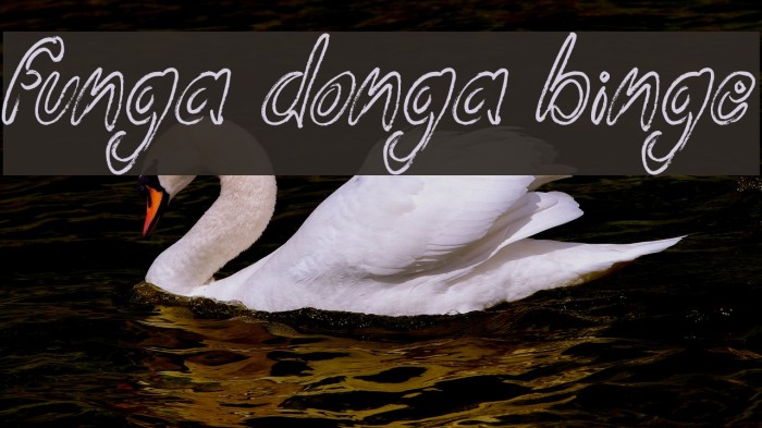 Funga Donga Binge Font - FFonts.net