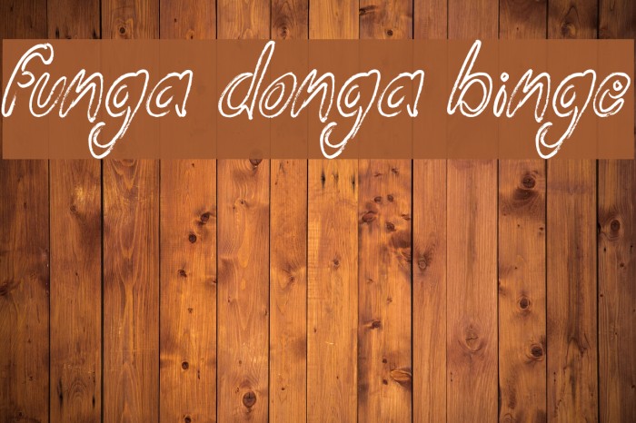 Funga Donga Binge Font - FFonts.net