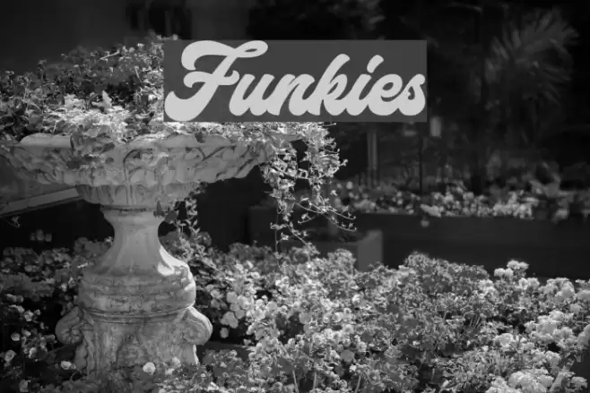 Funkies Font | Free Download (TTF/OTF) | FFonts.net