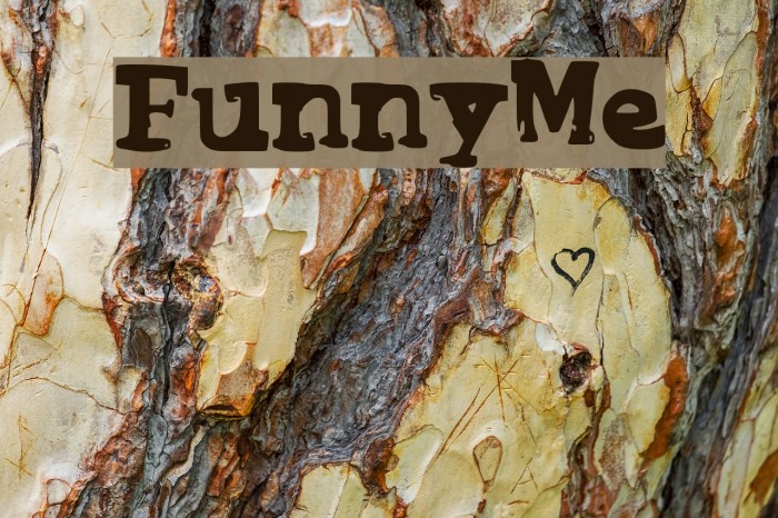 FunnyMe Font - FFonts.net