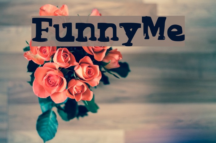 FunnyMe Font - FFonts.net