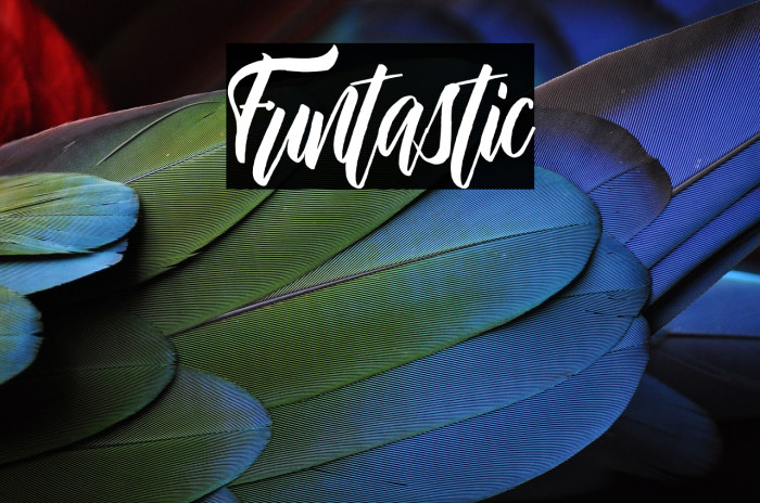 Funtastic Font - FFonts.net