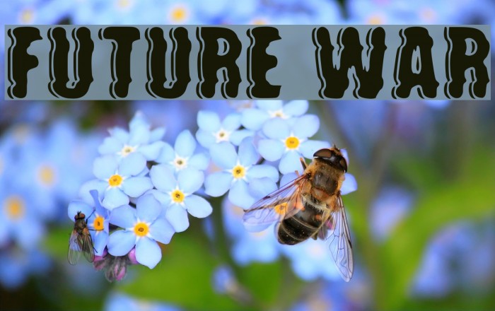 future war Font - FFonts.net
