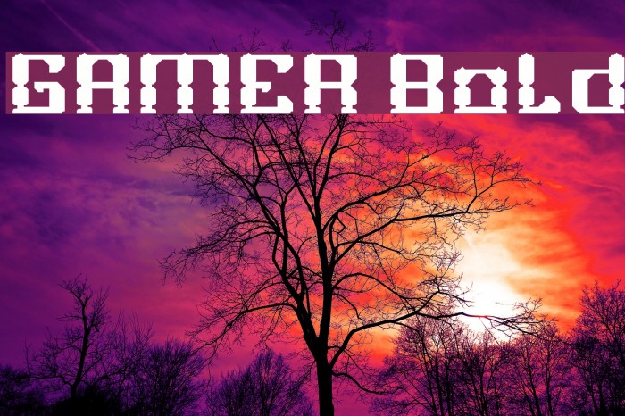 GAMER Bold Font - FFonts.net