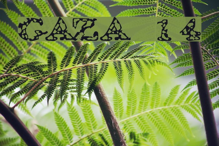 GAZA 14 Font - FFonts.net